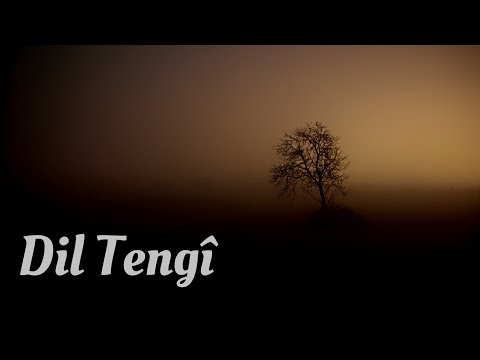 Dil Tengî - Dokunma Keyfine