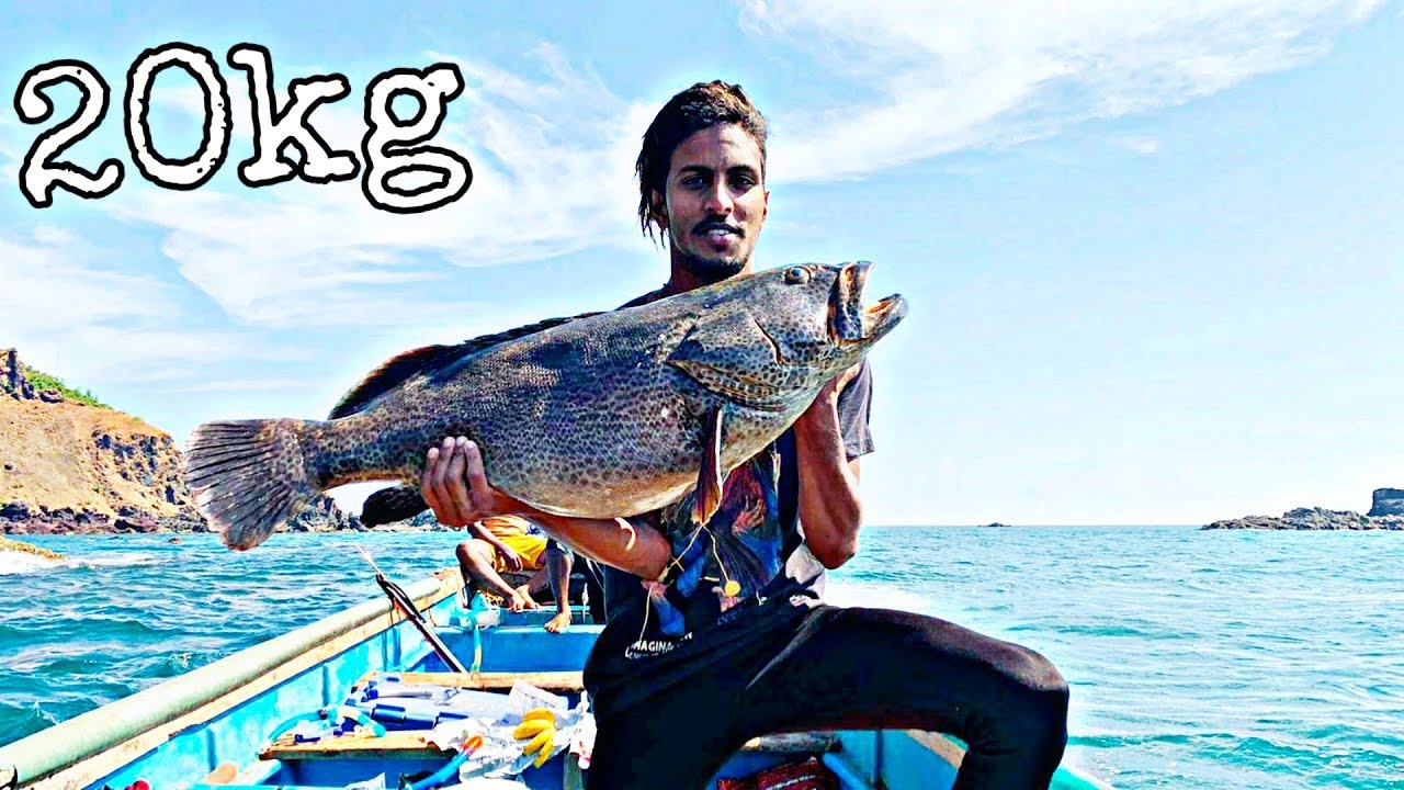 Spearfishing grouper in goa - YouTube