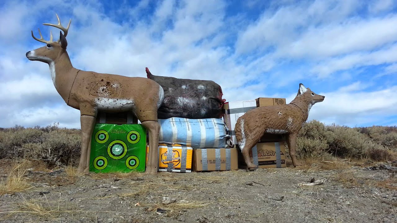 Bear Legion 70yds target cam - YouTube