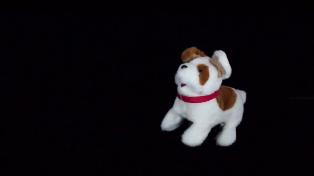 Radin productions - Wolfgang Amadeus Mozart musical showcase trailer ...