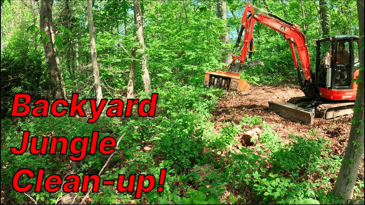 Backyard Jungle Clean-up! - Forestry Mulching - YouTube