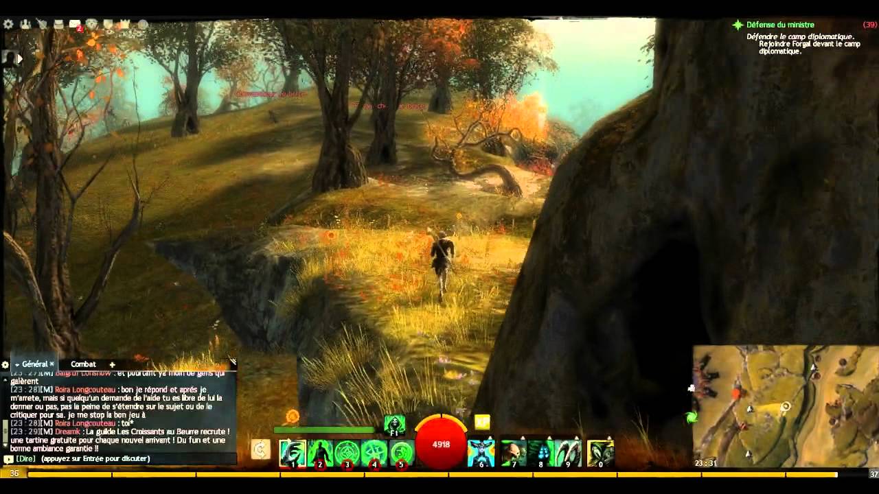 Guild Wars 2 : panorama de la Couronne du guerrier (Champs de Ruine ...