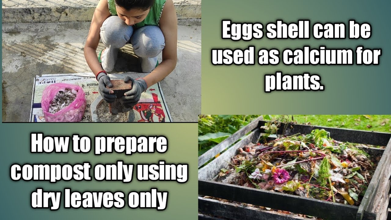 How to prepare compost only using dry leaves|Crushed egg shells use as ...
