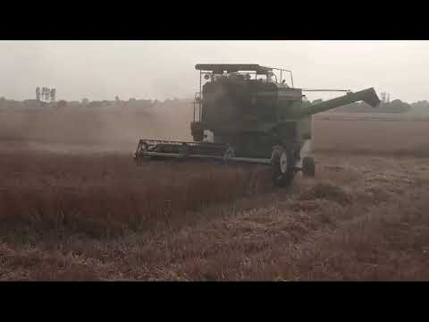 # gehu ki cutting machine dekhiye kitna acche se se kaam kar rahi hai ...