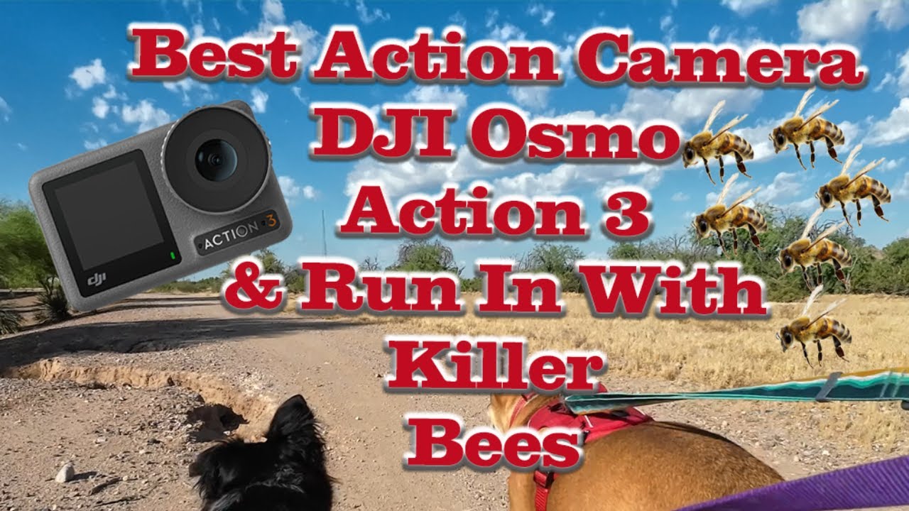 Best Action Camera DJI Osmo Action 3 and Run In With Killer Bees - YouTube
