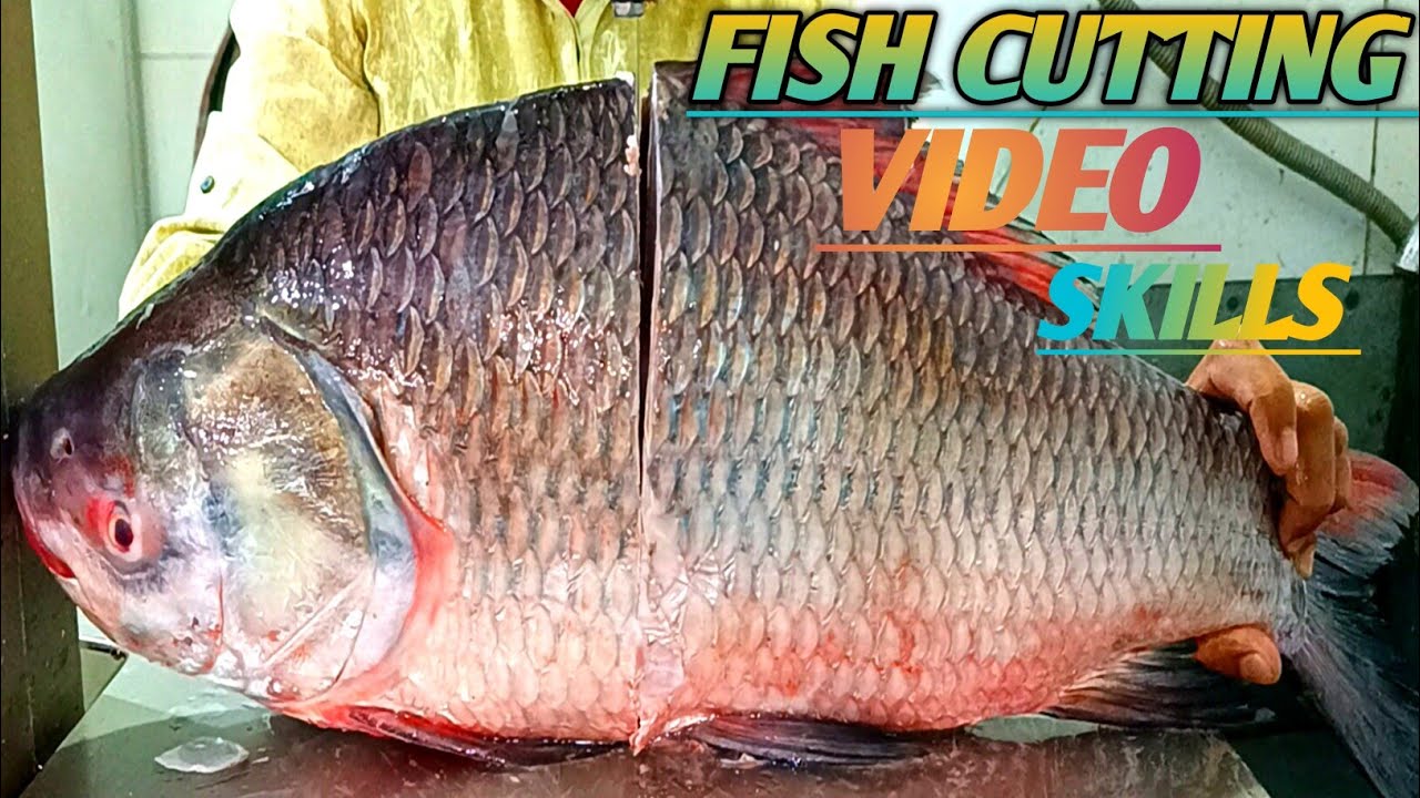 WOW RIVER GIANT CATLA FISH CUTTING SKILLS & FISH MARKET SEA FISH ...