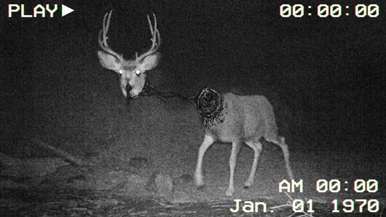 Scary Skinwalker Sightings That Remain Unexplained - YouTube