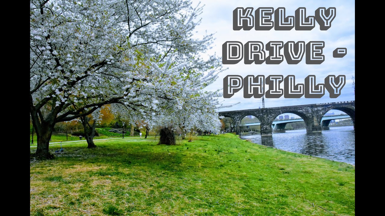 Kelly Drive - Philadelphia - Spring 2019 - Cherry Blossoms - YouTube