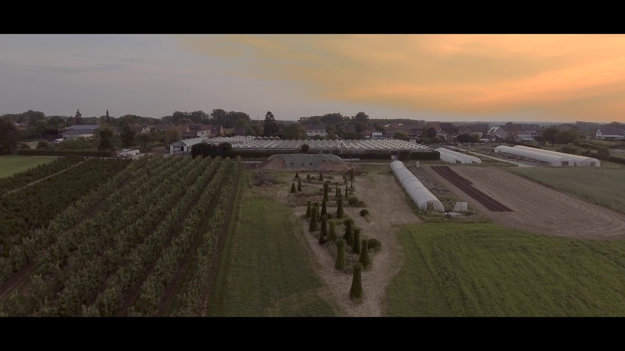 Koen&Wim Claesen - YouTube