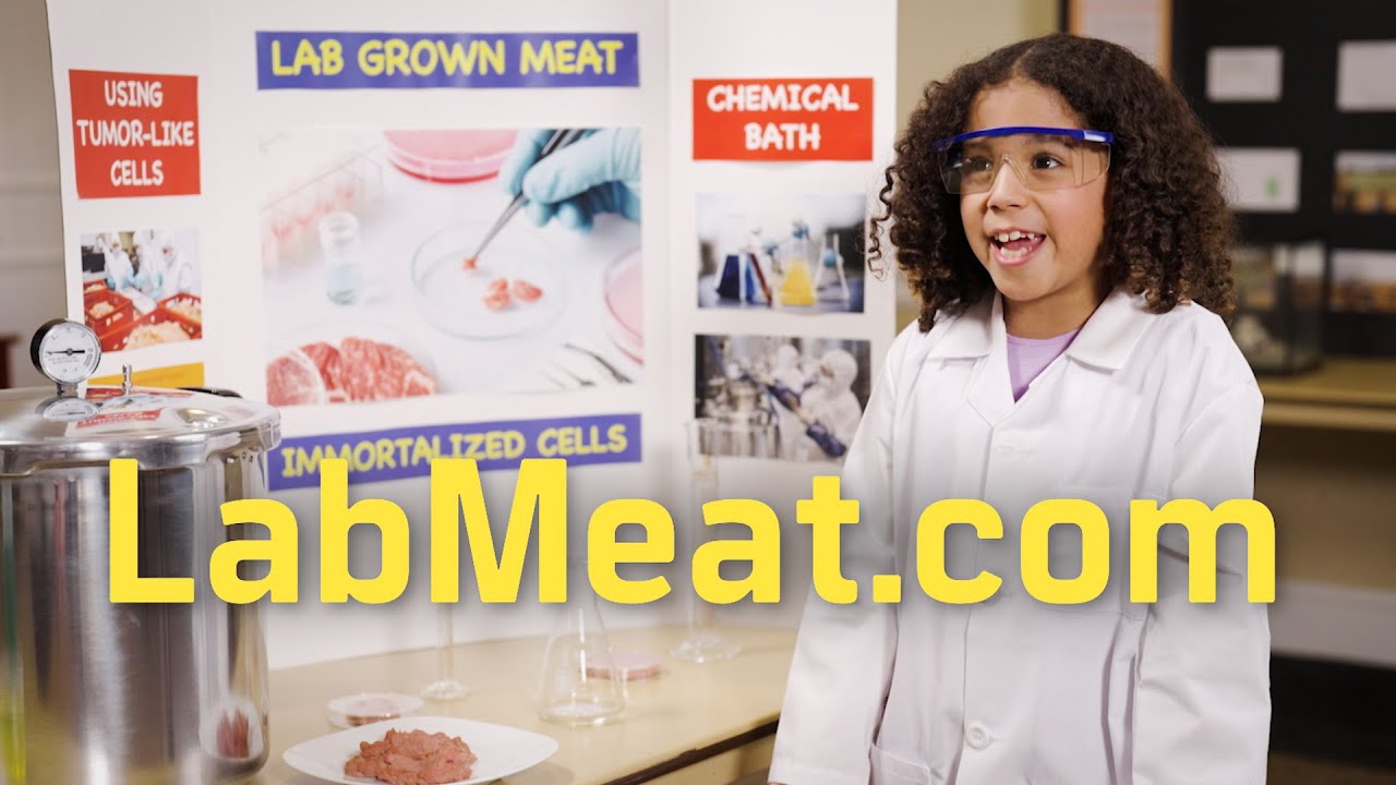 Lab Meat: Experiment on Your Plate - YouTube