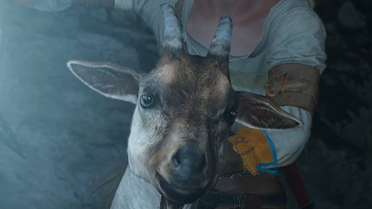 The Witcher III: The Wild Goat - YouTube