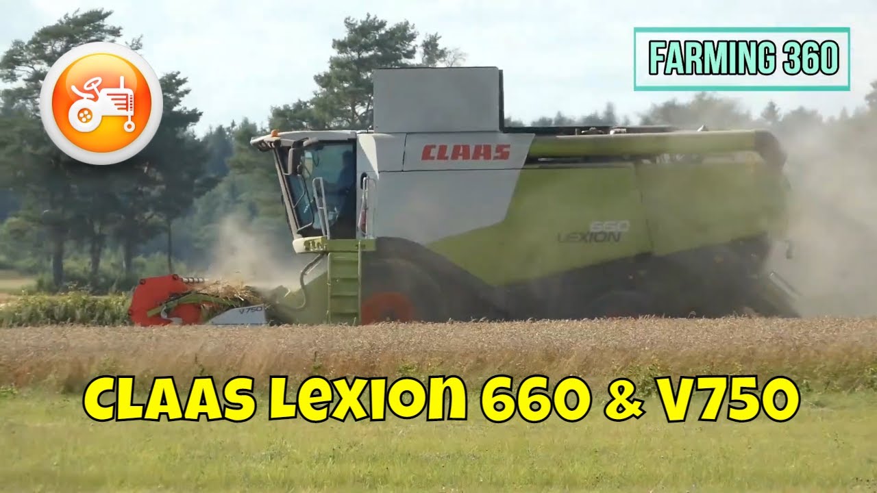 Harvest 2022 | Claas Lexion 660 combine with V750 header - YouTube