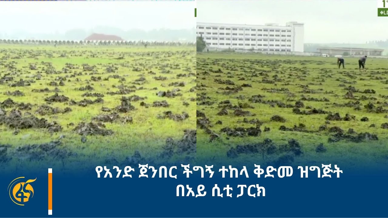 የአንድ ጀንበር ችግኝ ተከላ ቅድመ ዝግጅት በአይ ሲቲ ፓርክ Youtube