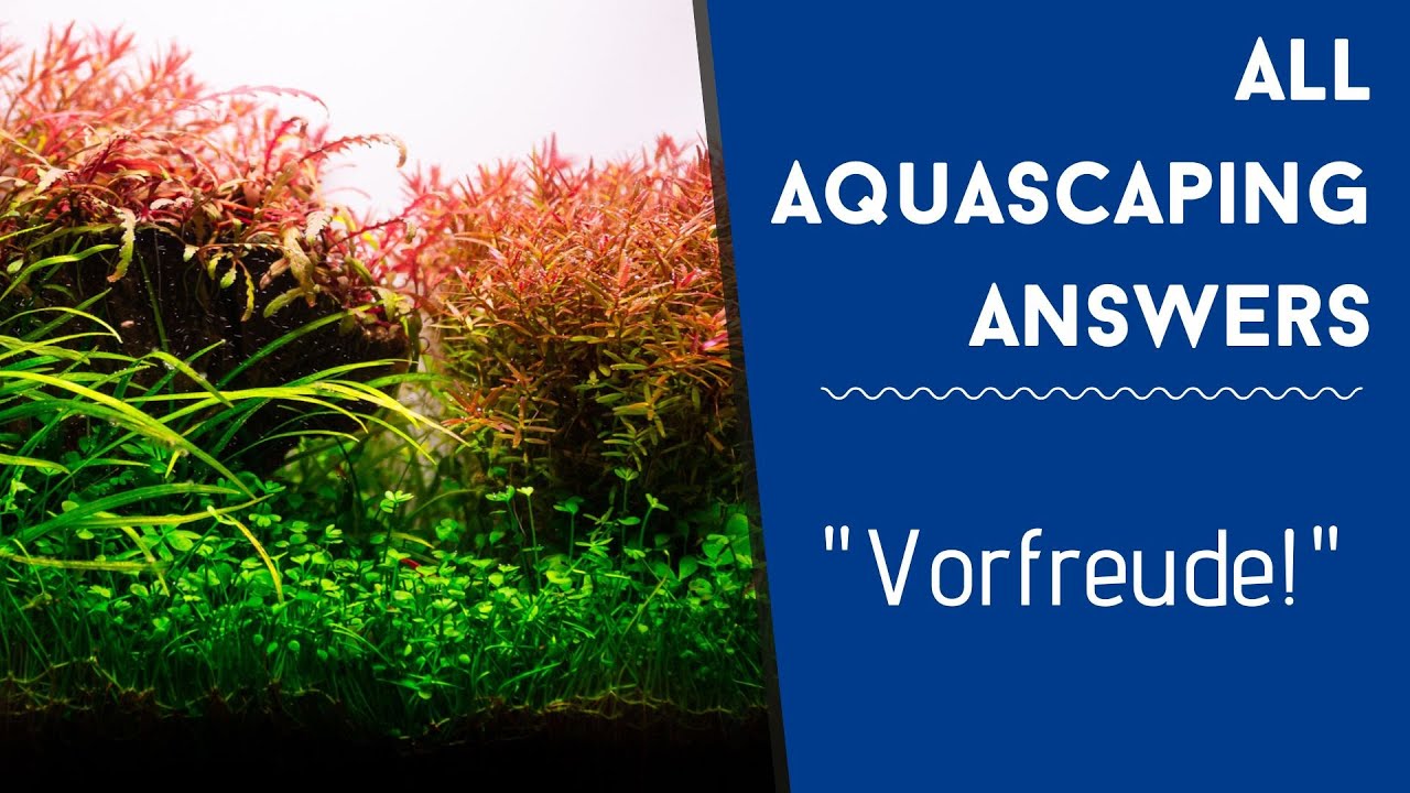 Mix-Themen-Vorfreuden-Podcast | AAA #165 - YouTube