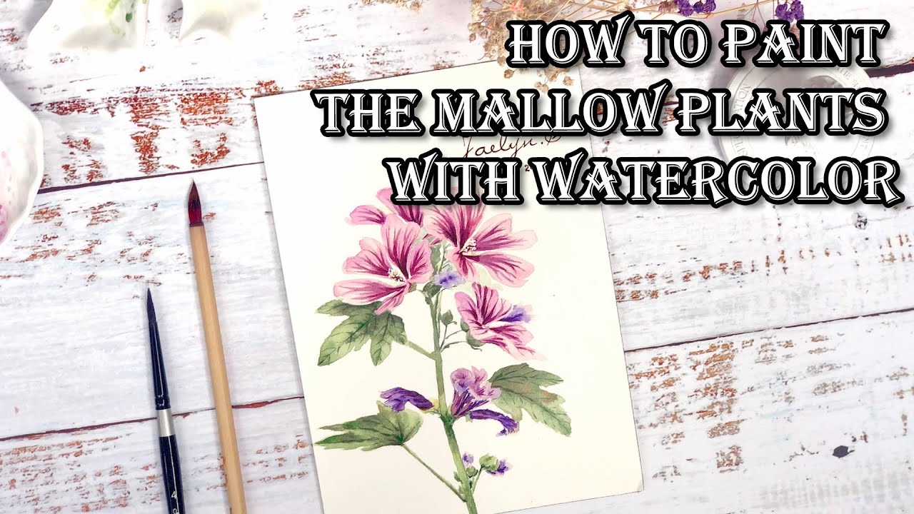 How to paint the mallow plants with watecolor - YouTube