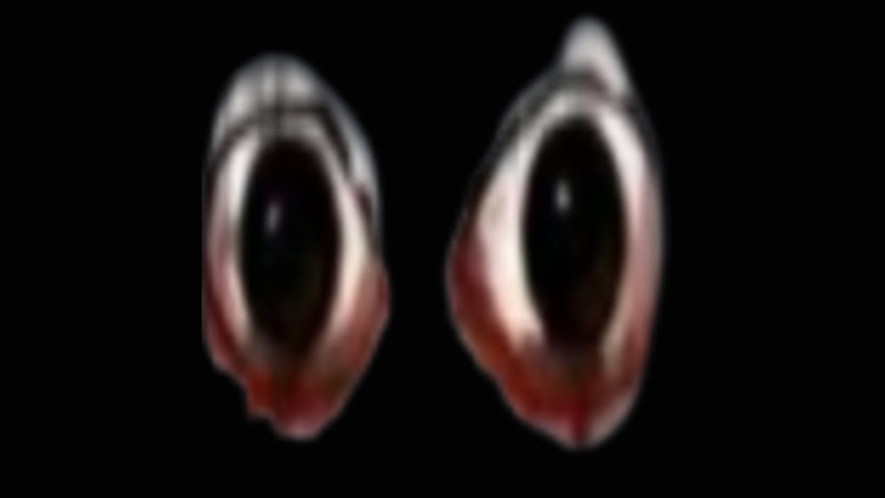 Nico's nextbots -bob jumpscare- - YouTube