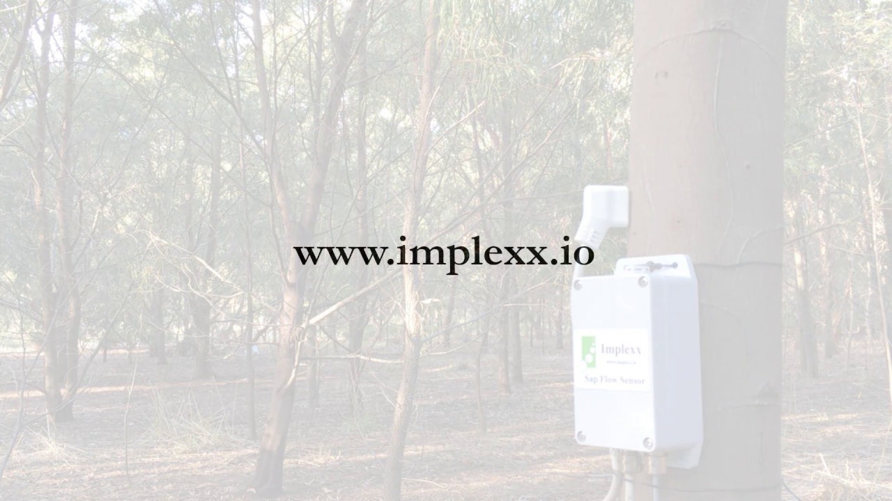 Sap Flow Sensor Installation - YouTube