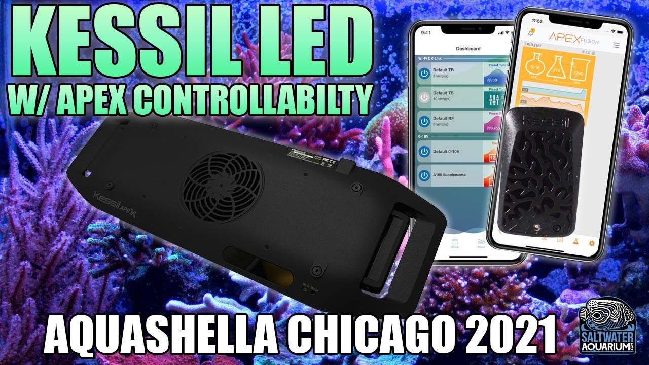MORE Ways to Control Kessil LEDs for Your Saltwater Tank! - Aquashella ...