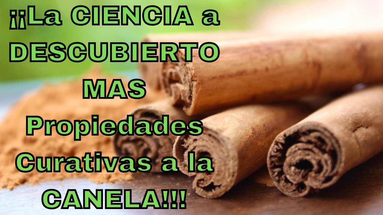 CANELA PROPIEDADES CURATIVAS QUE LA CIENCIA HA COMPROBADO - YouTube