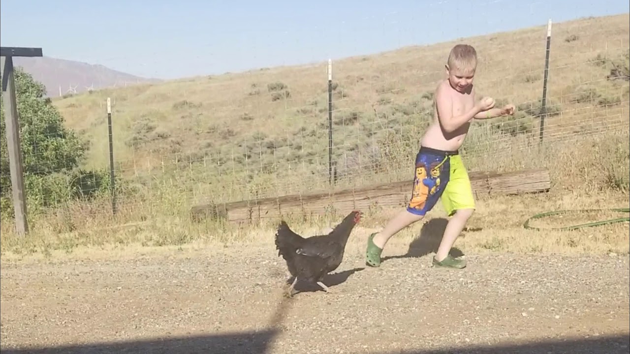 The Great Egg Chase Day 9 of the 14 Day Video Challenge - YouTube
