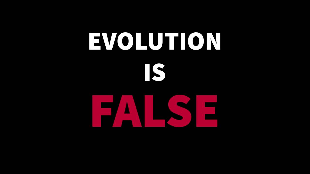 Evolution Is False - YouTube