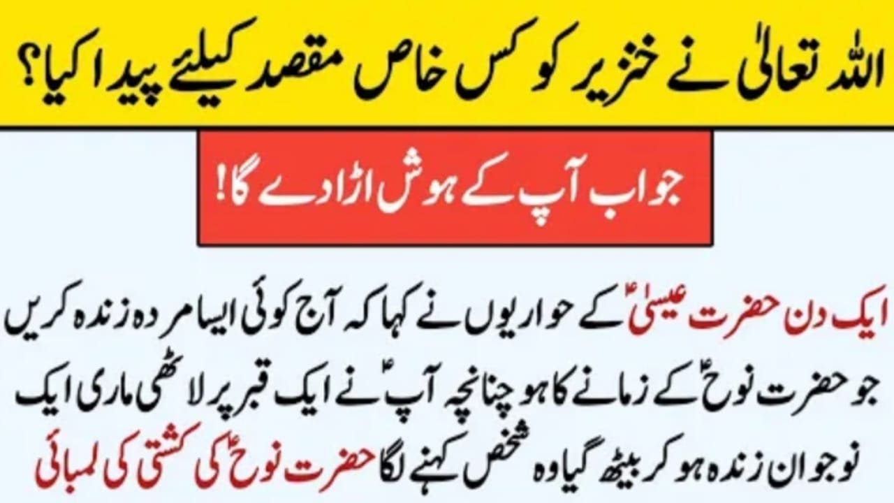 Allah Pak Ny Khanzer Ko kyon Paida Farmaya / Why and How Was created ...