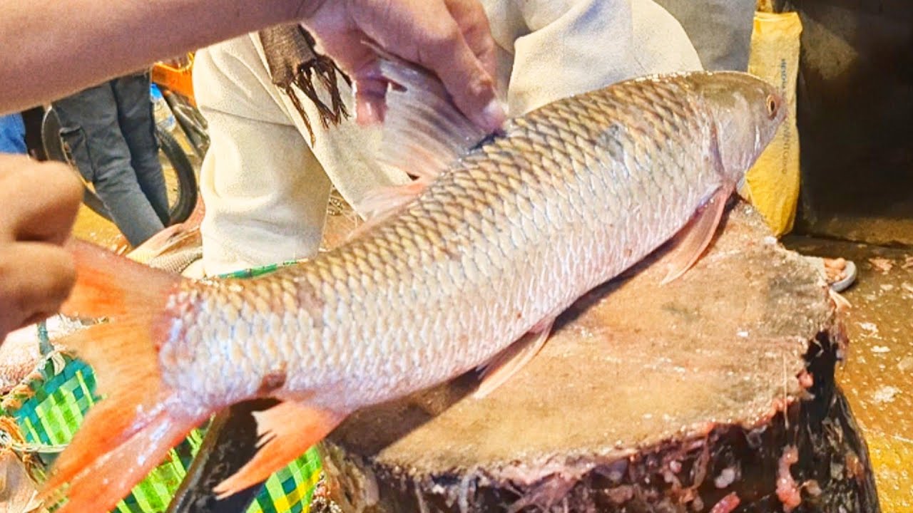 Amazing Cutting Skills / : Mrigal Fish Cutting Skills Live in Fish ...