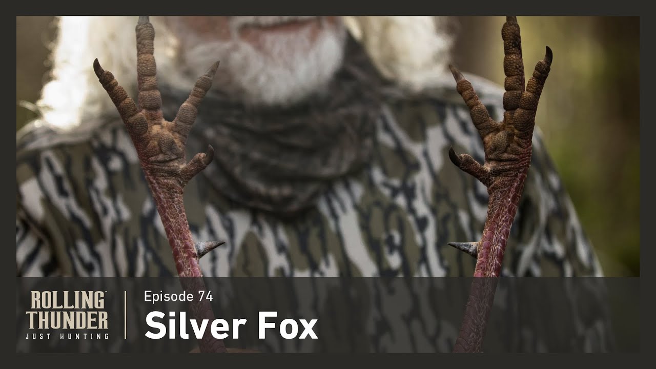 Ep 74 • Silver Fox - YouTube