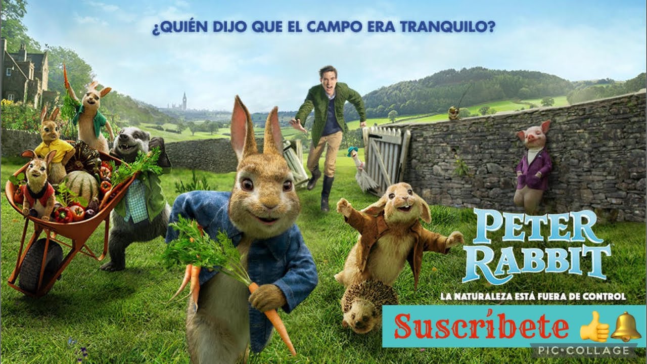 Las Travesuras de PETER RABBIT PELÍCULA 2018 🎥 - YouTube