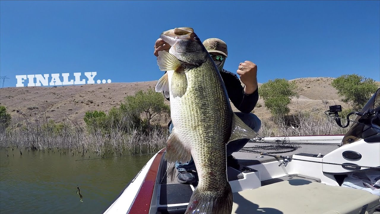I Caught a NEW PB!!! | Bass Fishing - YouTube