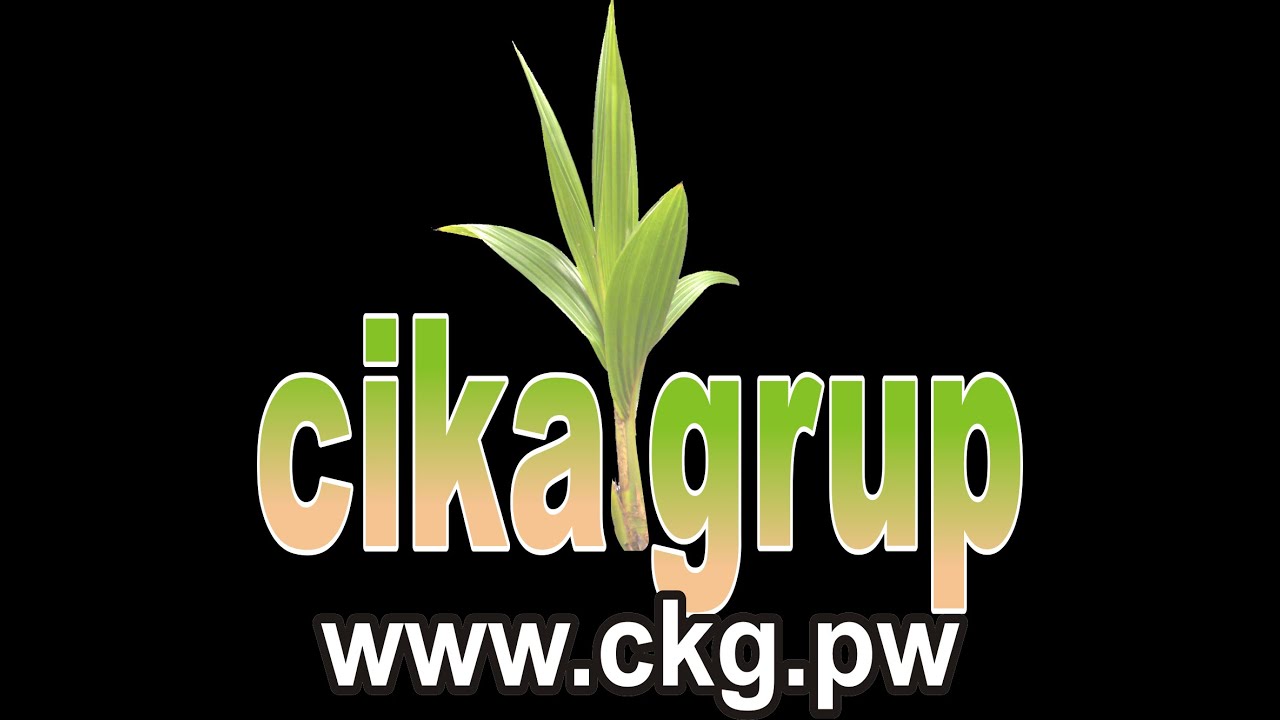 ckg 2015 - 480 HD - YouTube