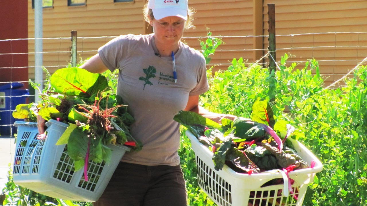 Navigating Urban Farming: A Portland Farmer's City-Centered Agriculture ...