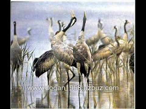 Bir Çift Turna Gördüm Kabe Yolunda