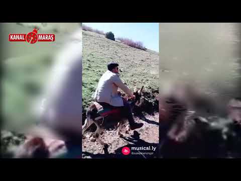 Sosyal Medyada paylaşım rekorları kıran 'Diriliş: Ertuğrul' videosu