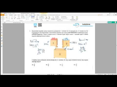 kafa dengi test 33