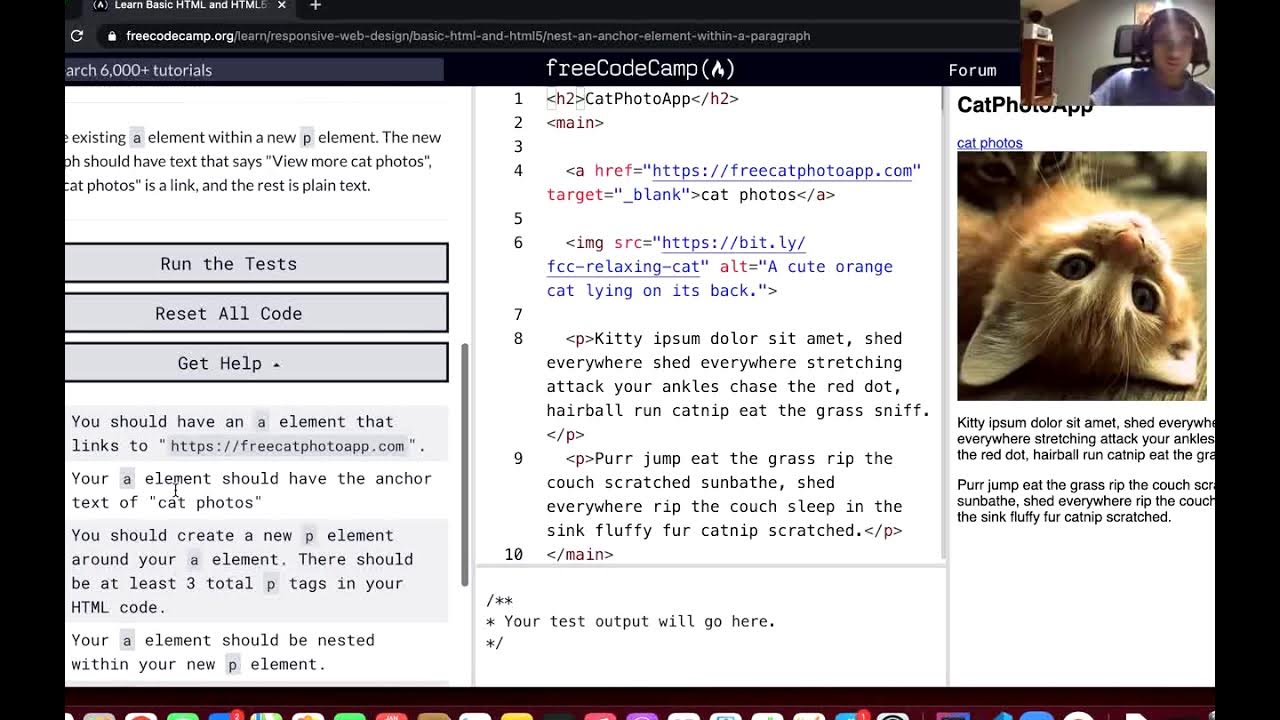 Basic HTML and HTML5 Step-by-Step Tutorial | freeCodeCamp Course Exercise 12 - YouTube