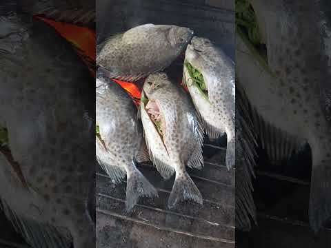 Grilling Malaga or Kitang Fish - YouTube