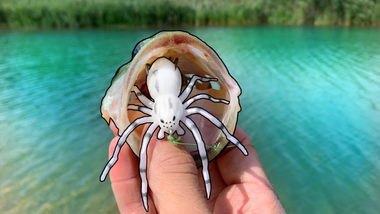 Bass Fishing with a SPIDER LURE!? - YouTube