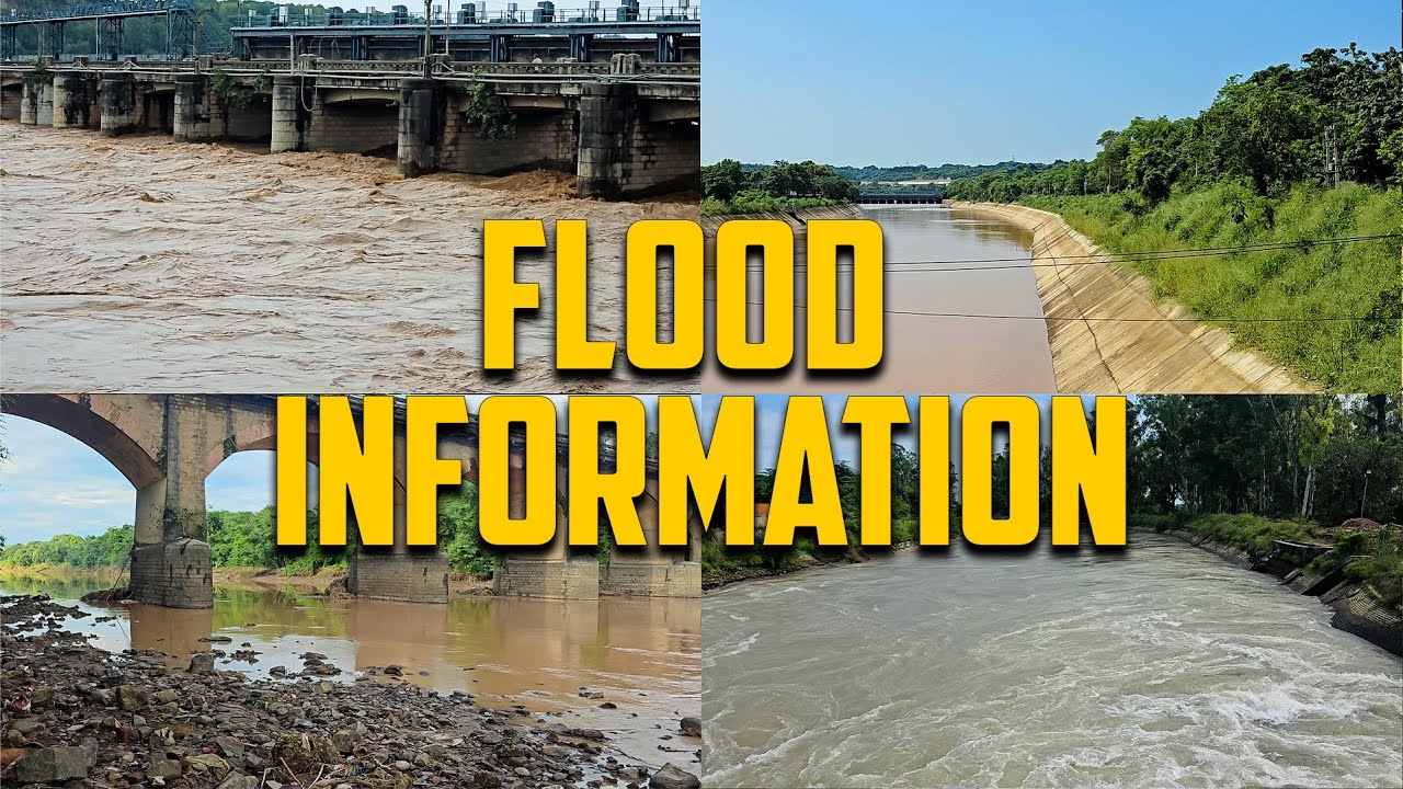 punjab Flood Information || Ashu Malik Gotakhor || 9942000008 - YouTube