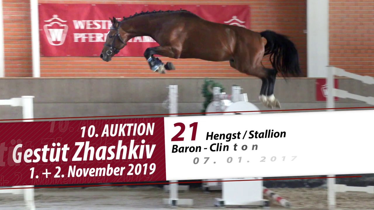 21 Hengst / Stallion v. Baron - Clinton - YouTube