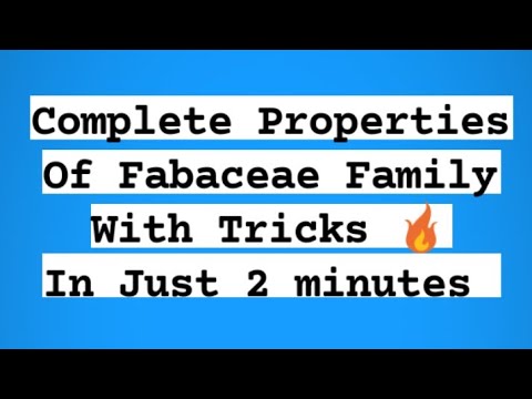 Fabaceae Family All Properties With Tricks | Morphology of Flowering ...