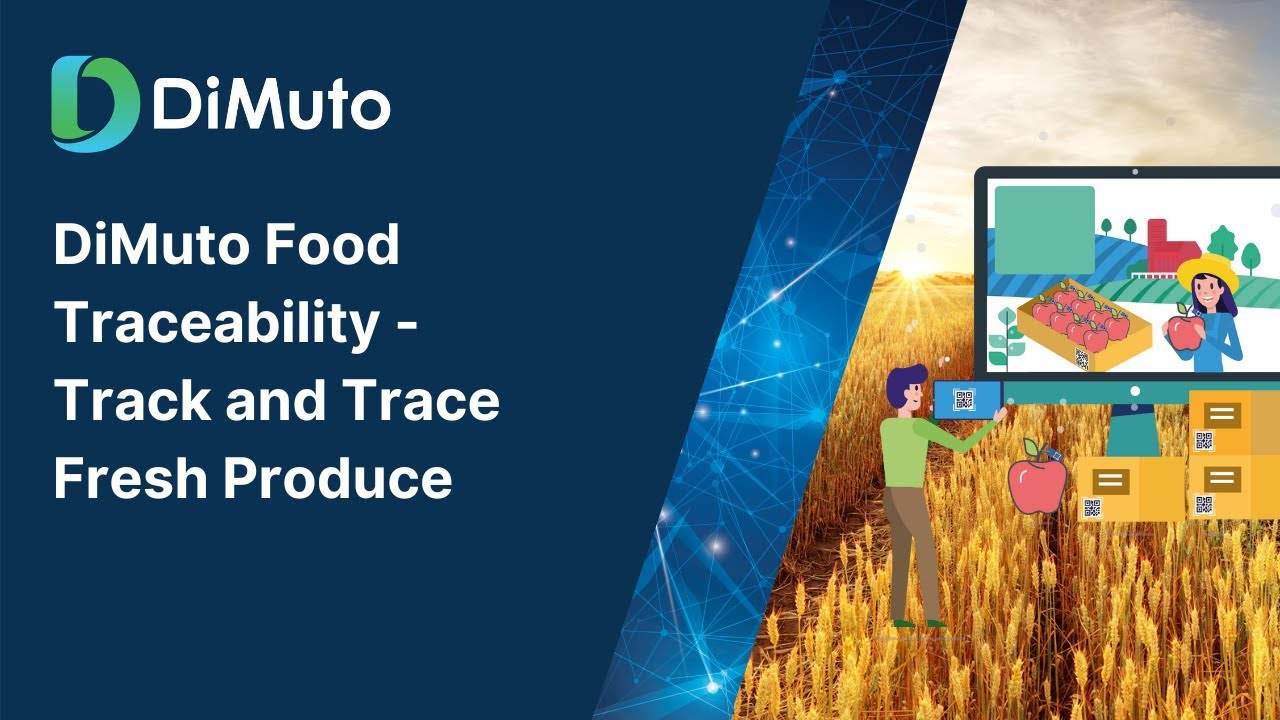 DiMuto Food Traceability - Track and Trace Fresh Produce - YouTube