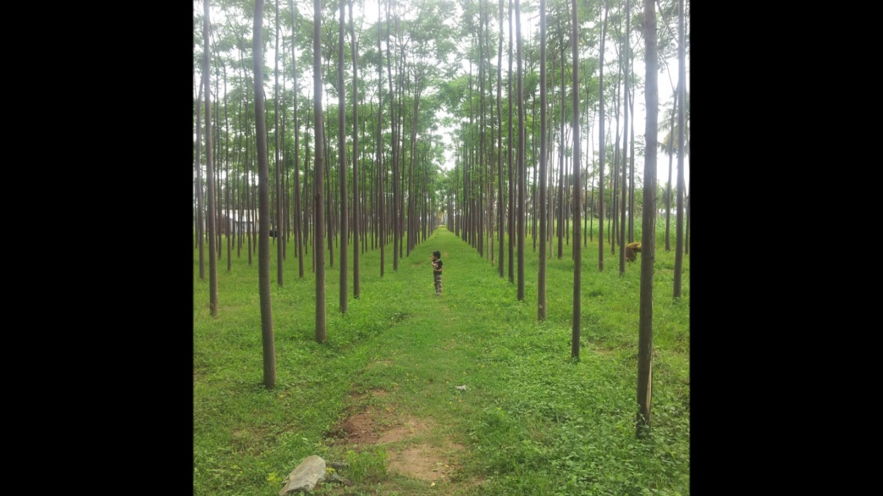 Malai Vembu - Melai Dubia!!! - YouTube