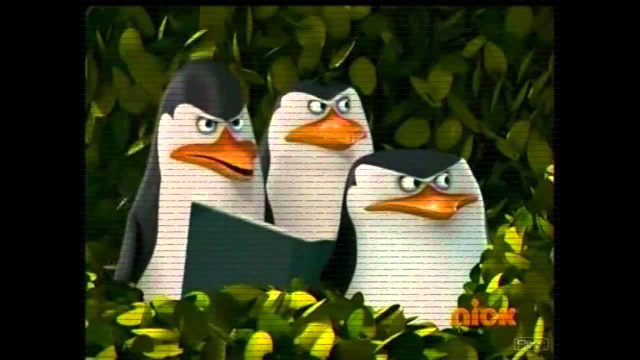 ♥ Penguins of Madagascar ♥ ~ ஐ A Skipper Tribute ஐ ~ ♫ Paranoid ♫ - YouTube