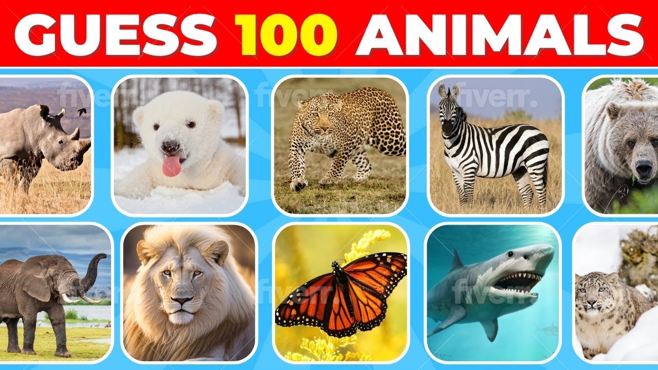 Guess 100 Animals in 3 Seconds | Easy, Medium, Hard, Extra Hard - YouTube