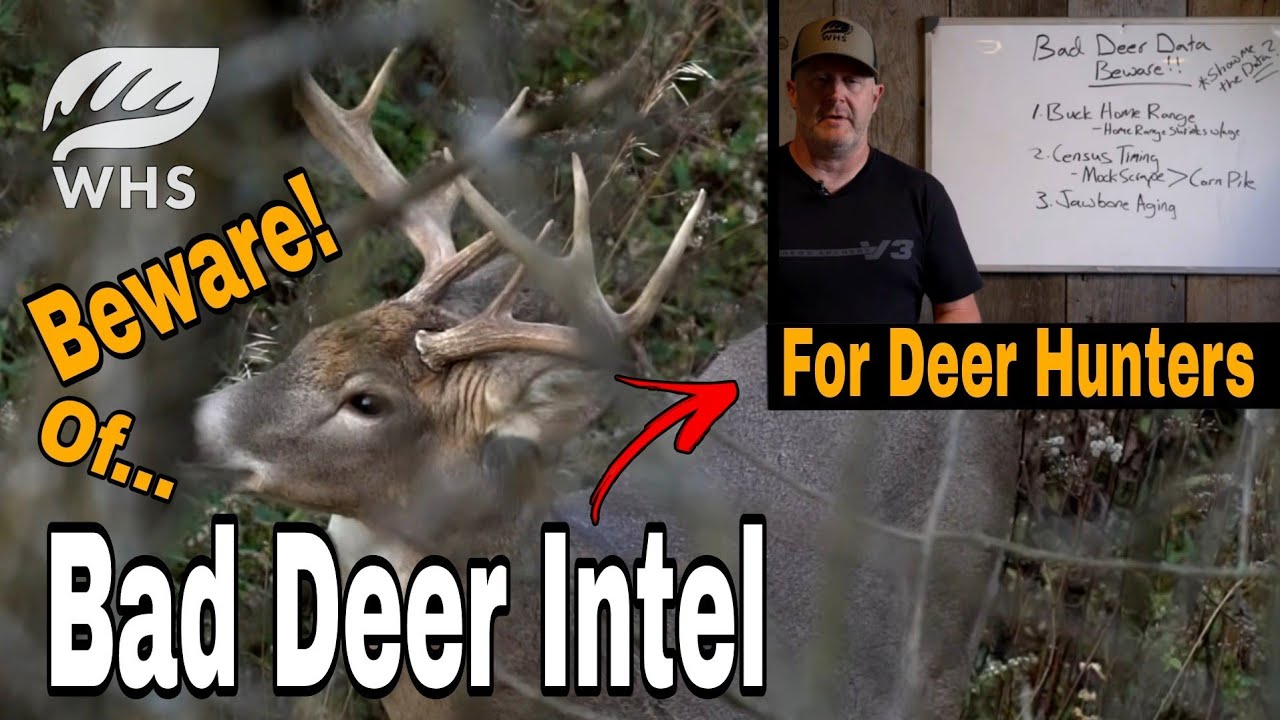 Bad Deer Hunting Data BEWARE! - YouTube