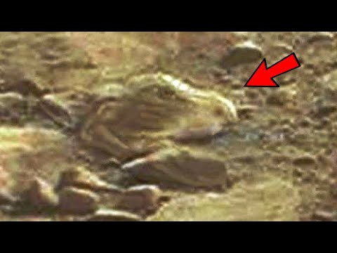 Perseverance Rover New 4k Video Footage of Mars | 4k New Video Footage ...