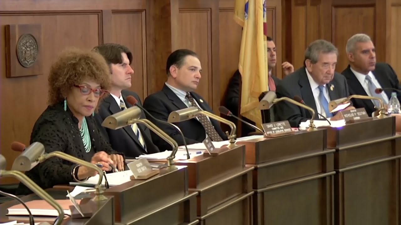 Top Court Nominee Timpone Sails Through Judiciary Committee Hearing ...