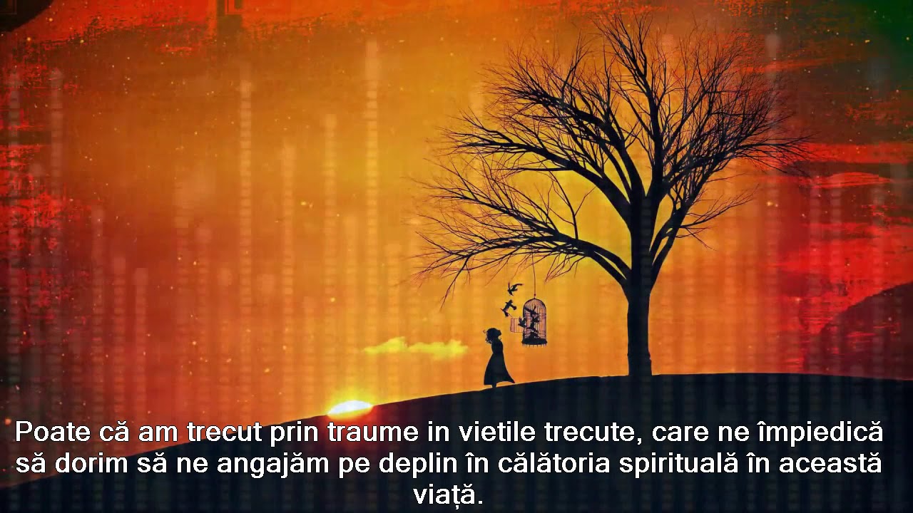 Trezire spirituala si Reinnoirea ego-ului (Steve Nobel) - YouTube