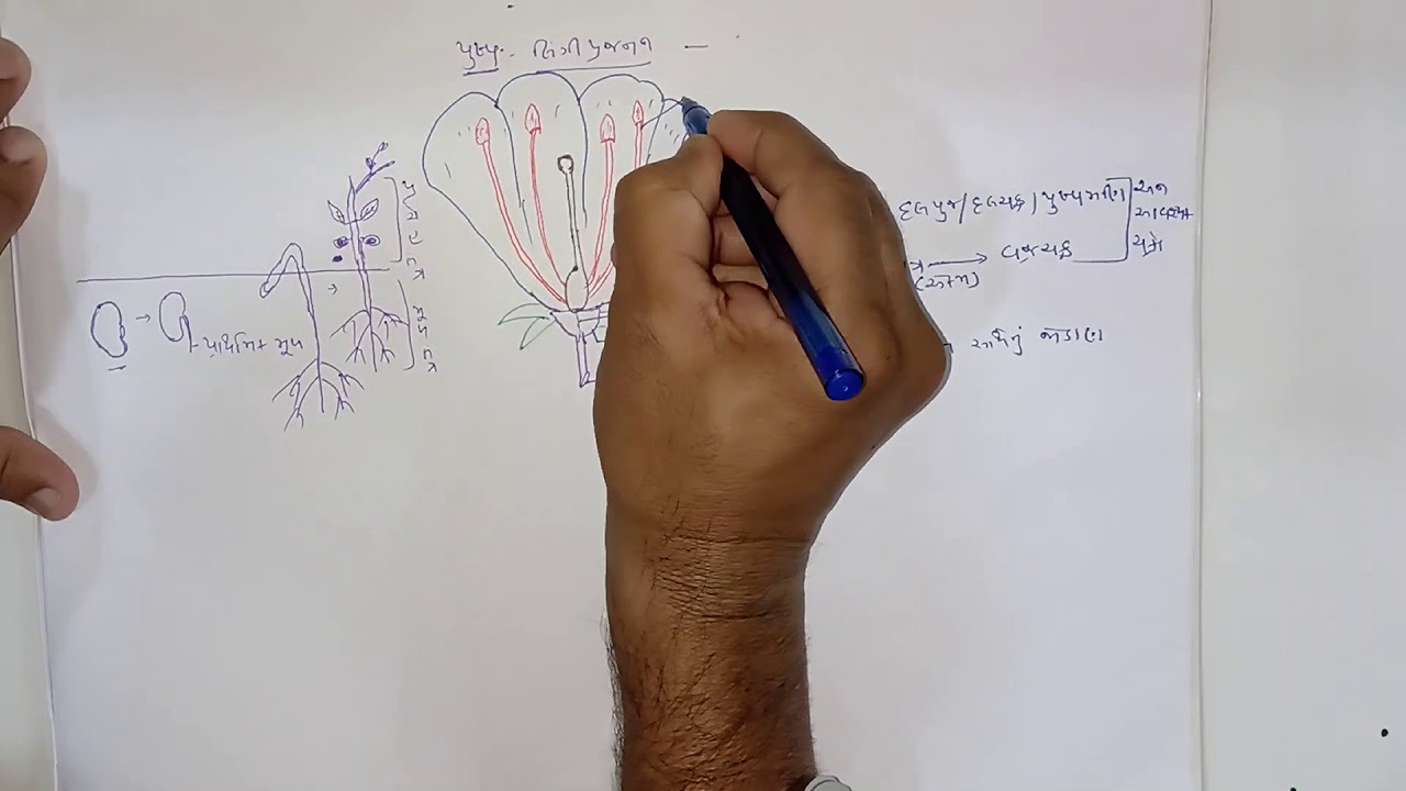 Biology 12th Science - YouTube